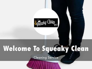 Squeaky clean presentation | PPT