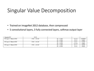 Squeeeze models | PPT