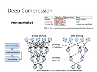 Squeeeze models | PPT