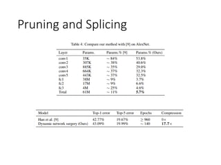 Squeeeze models | PDF