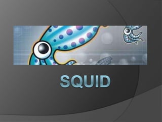 Squid | PPT
