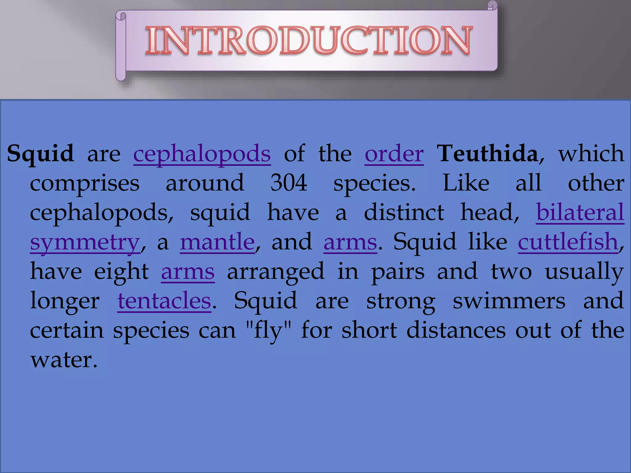 Squid | PPTX