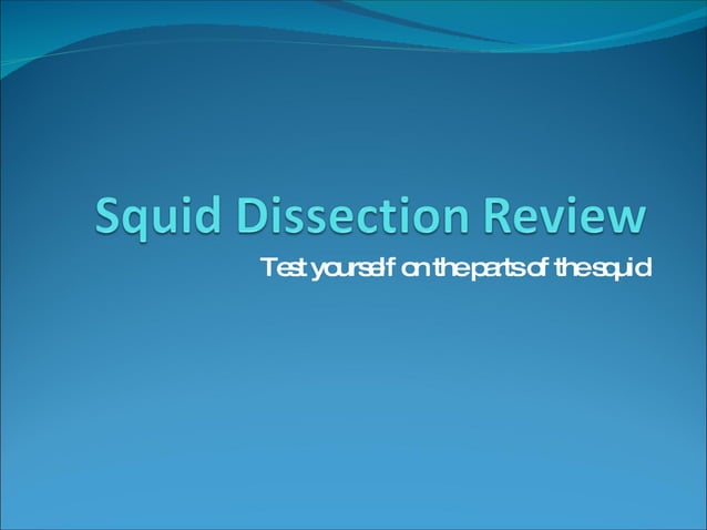 Squid Dissection Review | PPT