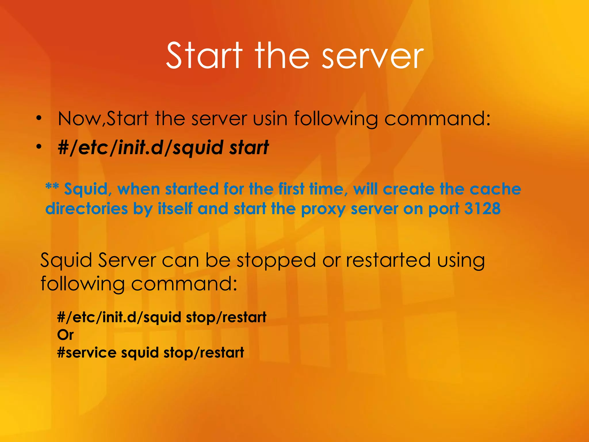 Squidinstallation | PPT