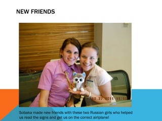 Squiggys russian friend sobaka | PPT