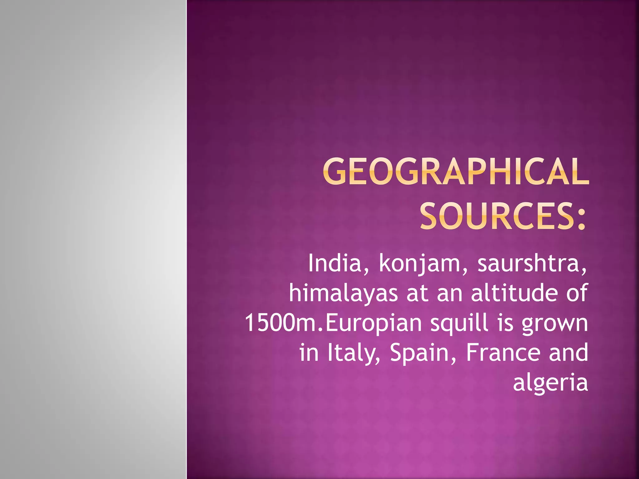 Squill Plant, Jangli Pyaaz (Pharmacognosy) | PPTX