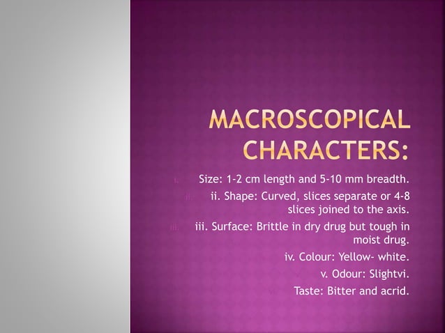 Squill Plant, Jangli Pyaaz (Pharmacognosy) | PPTX