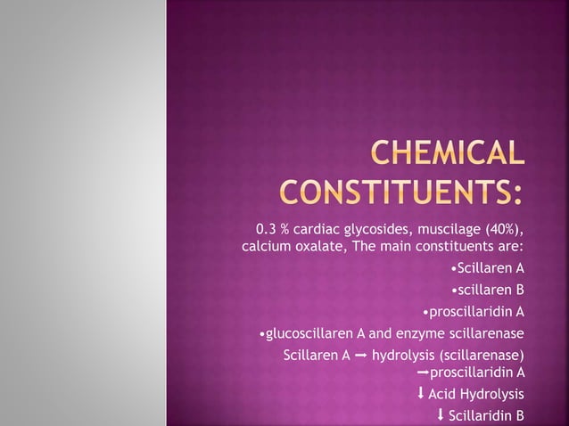 Squill Plant, Jangli Pyaaz (Pharmacognosy) | PPTX