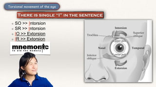 Squint (Anatomy, phsiology) | PPTX