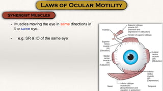 Squint (Anatomy, phsiology) | PPTX