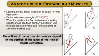 Squint (Anatomy, phsiology) | PPTX