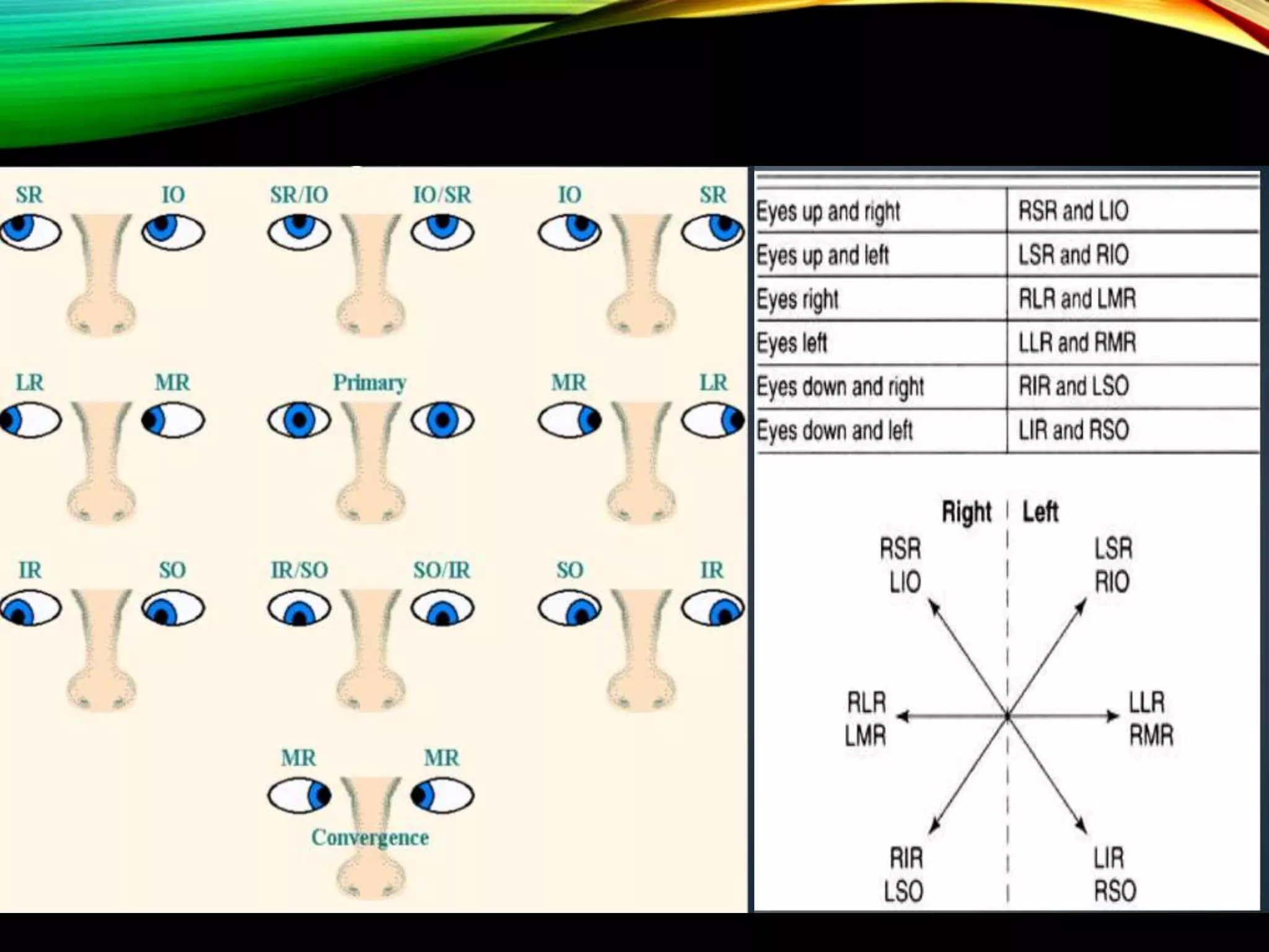 Clinical examination of squint | PPTX