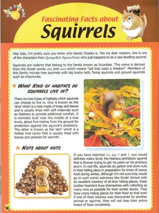 Fascinating Facts About Squirrels | PDF