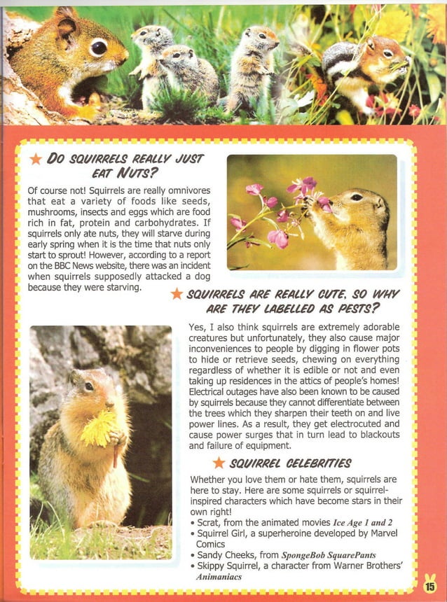Fascinating Facts About Squirrels | PDF