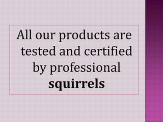 Squirrel sports | PPT | Free Download