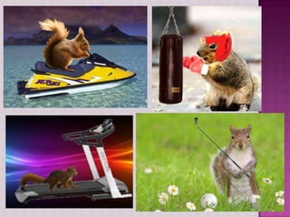 Squirrel sports | PPTX