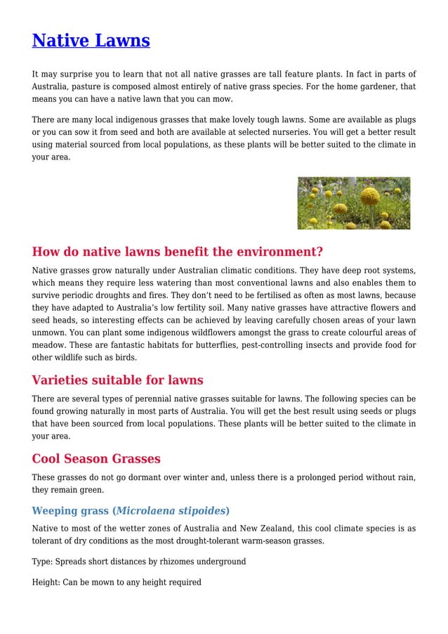Native Lawns | PDF
