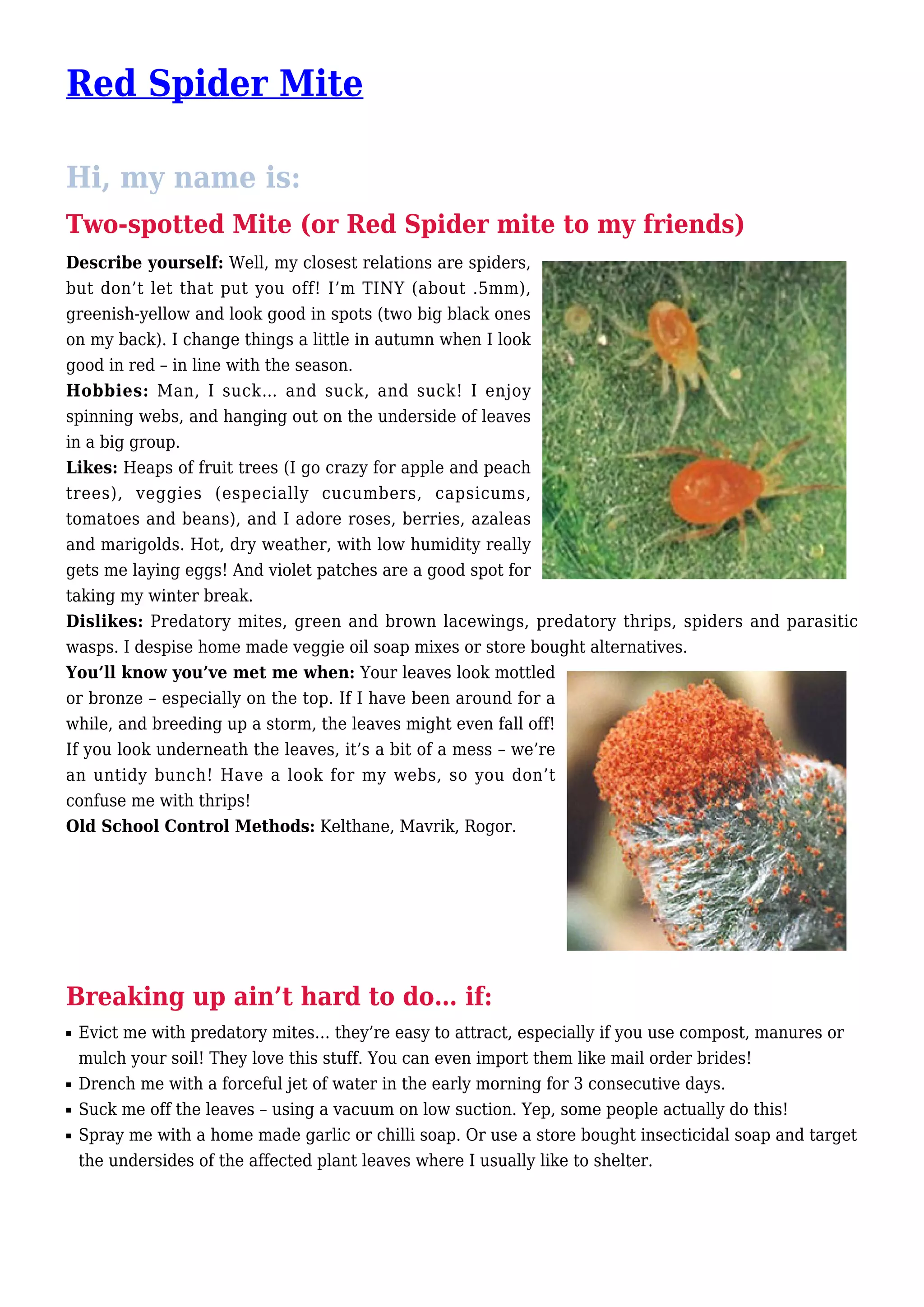 Red Spider Mite Pest Control | PDF