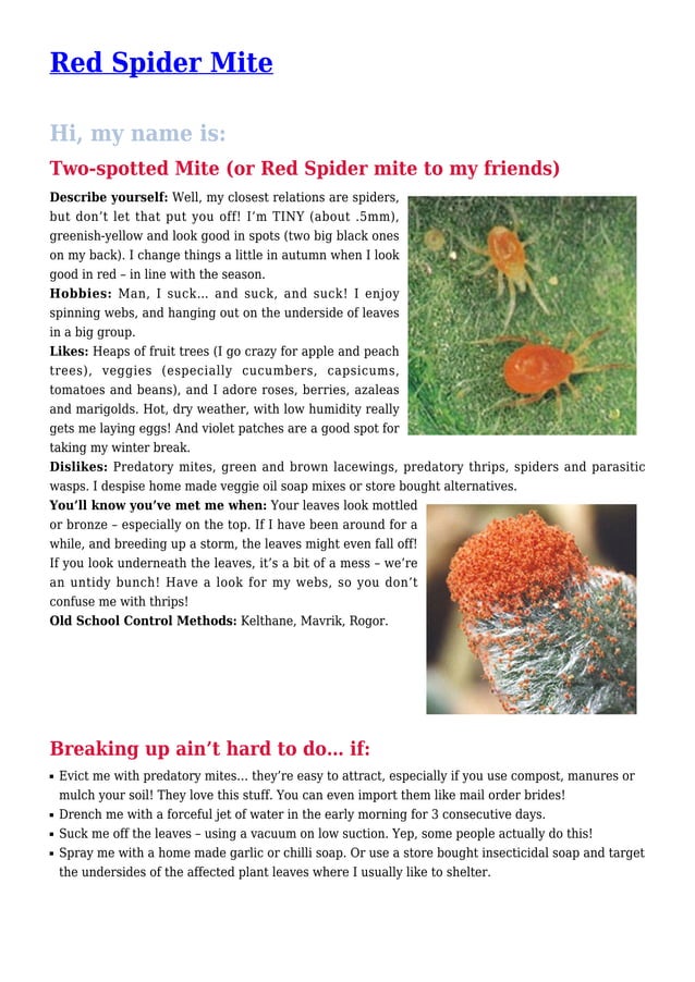 Red Spider Mite Pest Control | PDF | Gardening | Home & Garden