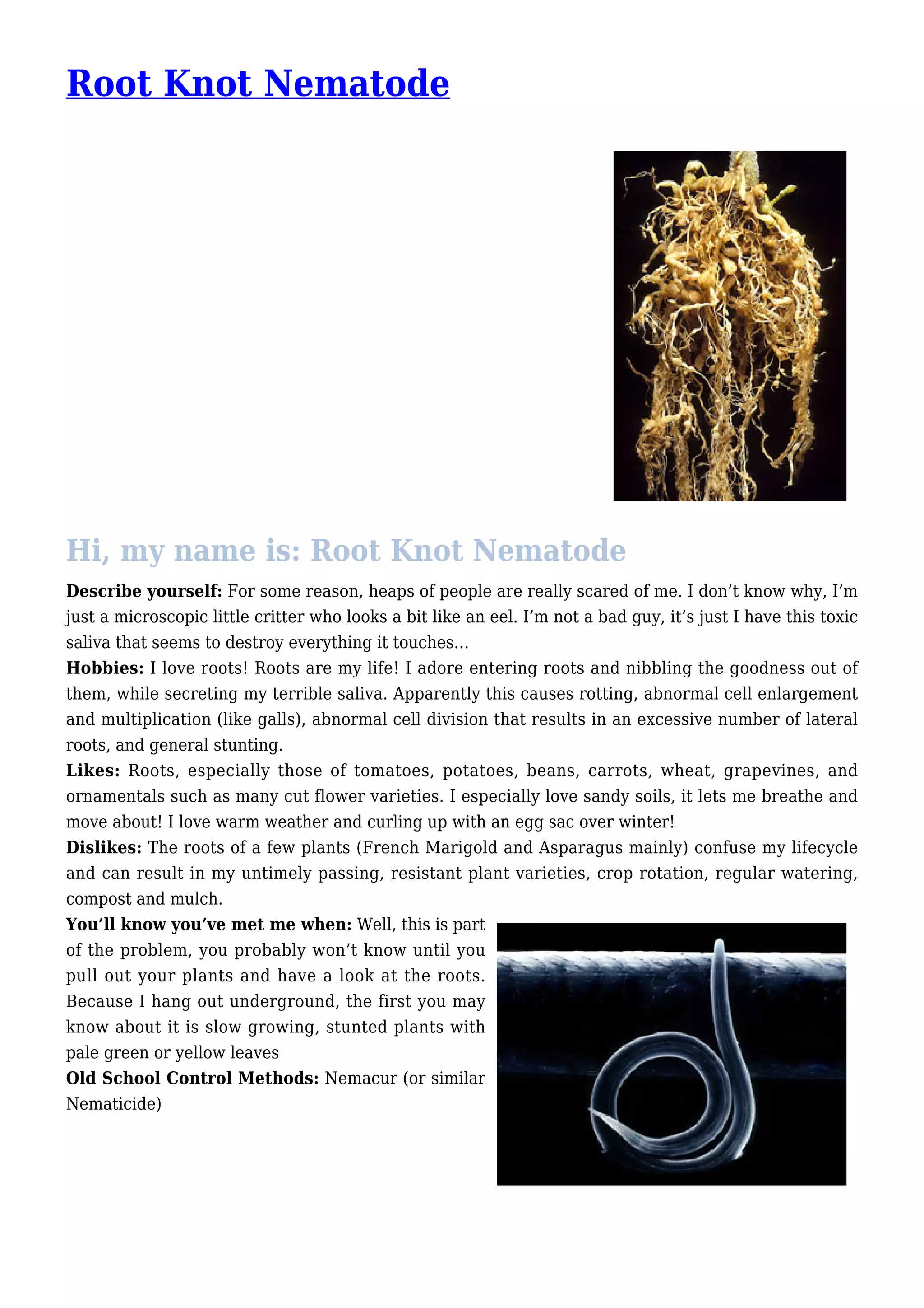 Root Knot Nematode Pest Control | PDF | Agriculture | Industries