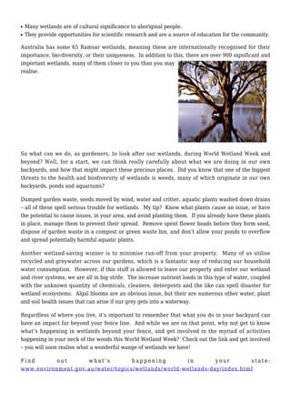 Wetlands: The Kidneys of our Waterways | PDF
