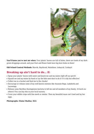 Caterpillars Pest Control for your Gardenl | PDF | Gardening | Home ...