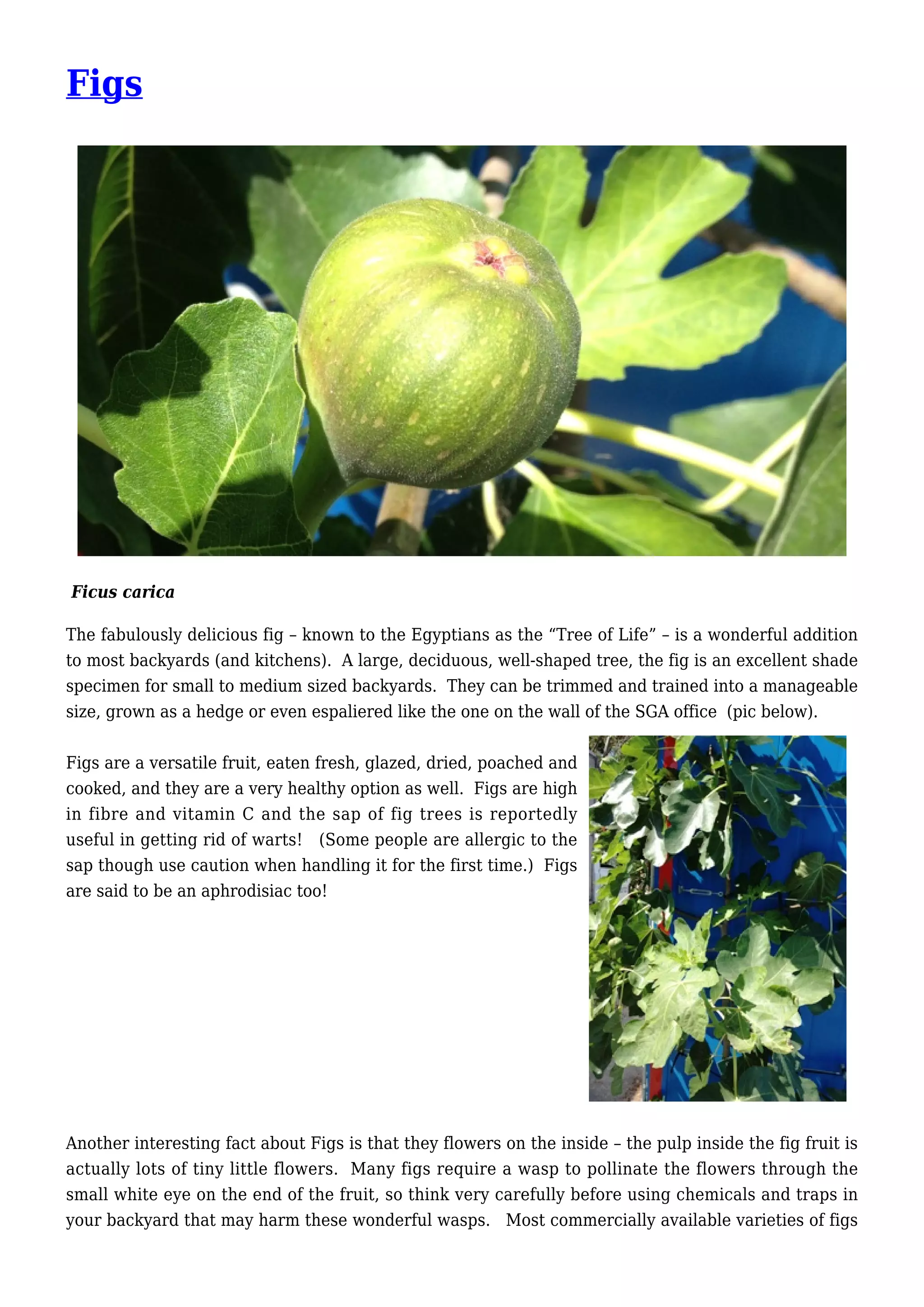Figs Gardening | PDF | Gardening | Home & Garden
