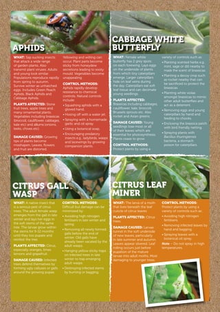 Garden Pest Control Fact Sheet | PDF