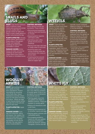 Garden Pest Control Fact Sheet | PDF