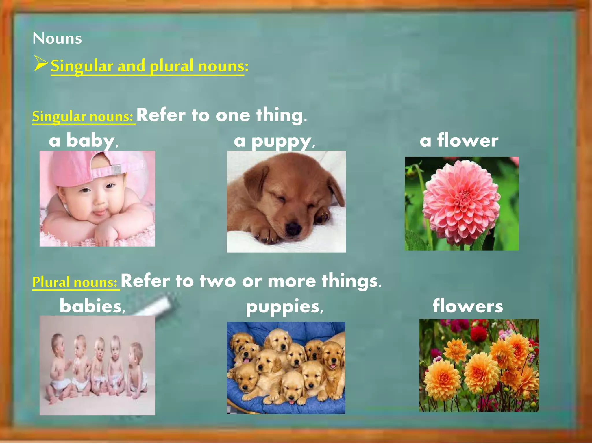 Nouns Slideshow presentation | PPTX