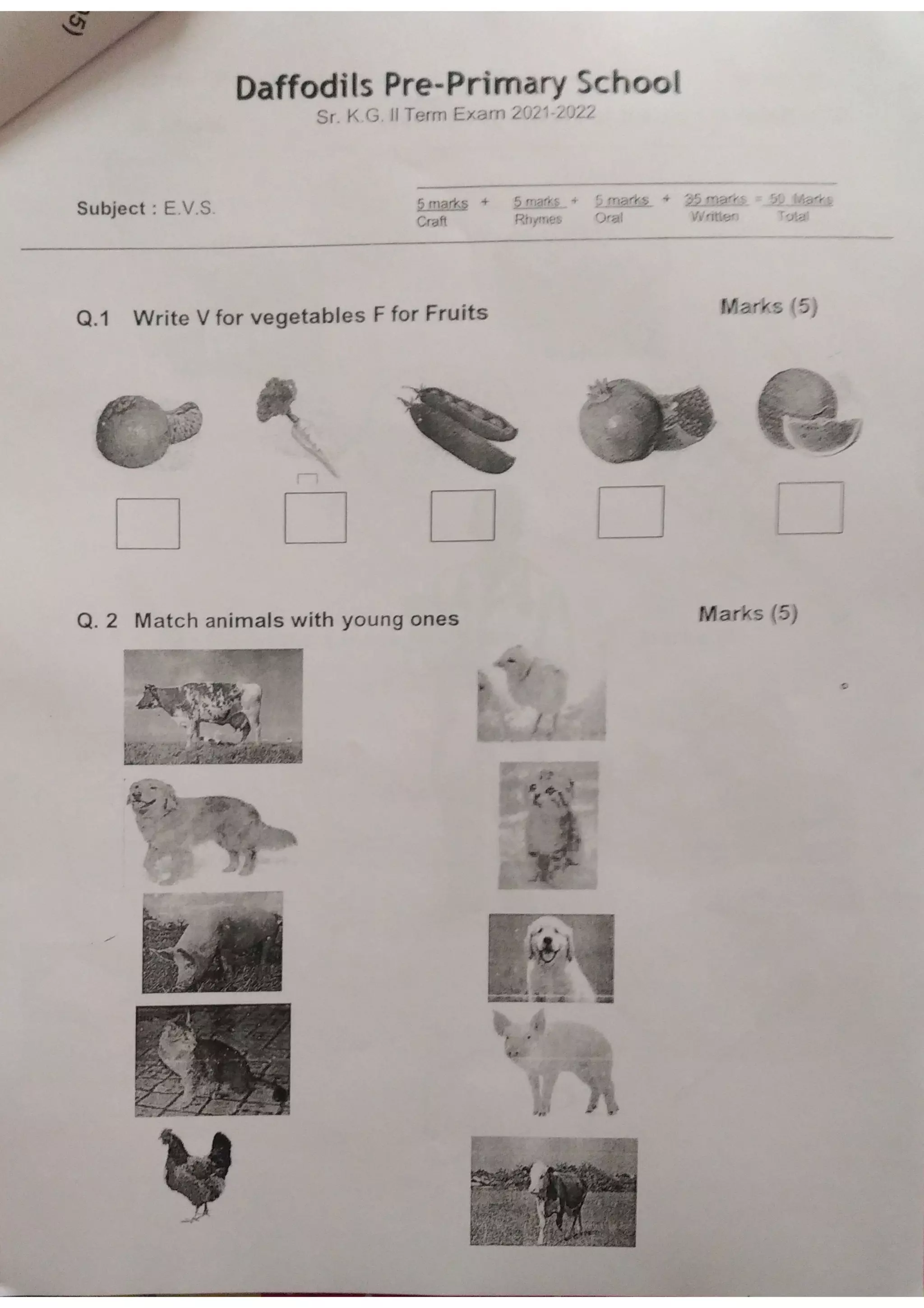 Sr.kg.final exam paper (1).pdf