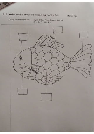 Sr.kg.final exam paper (1).pdf