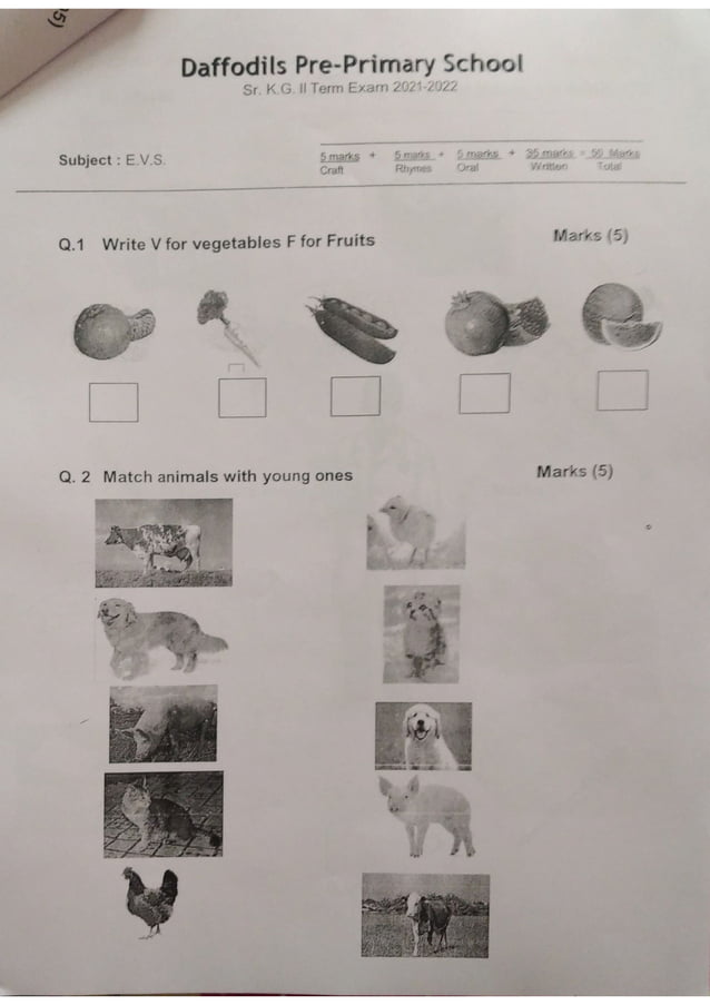 Sr.kg.final exam paper (1).pdf