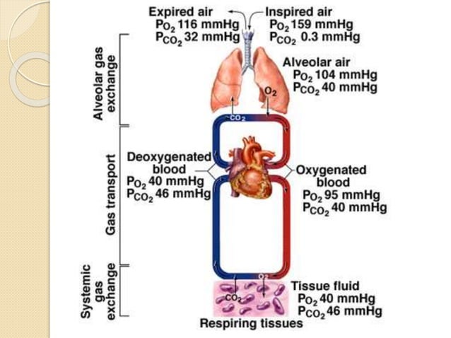 Sravan abg ppt modified | PPTX