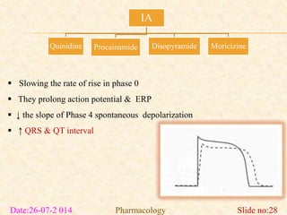 Procainamide Action