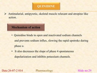 Quinidine Mechanism Of Action