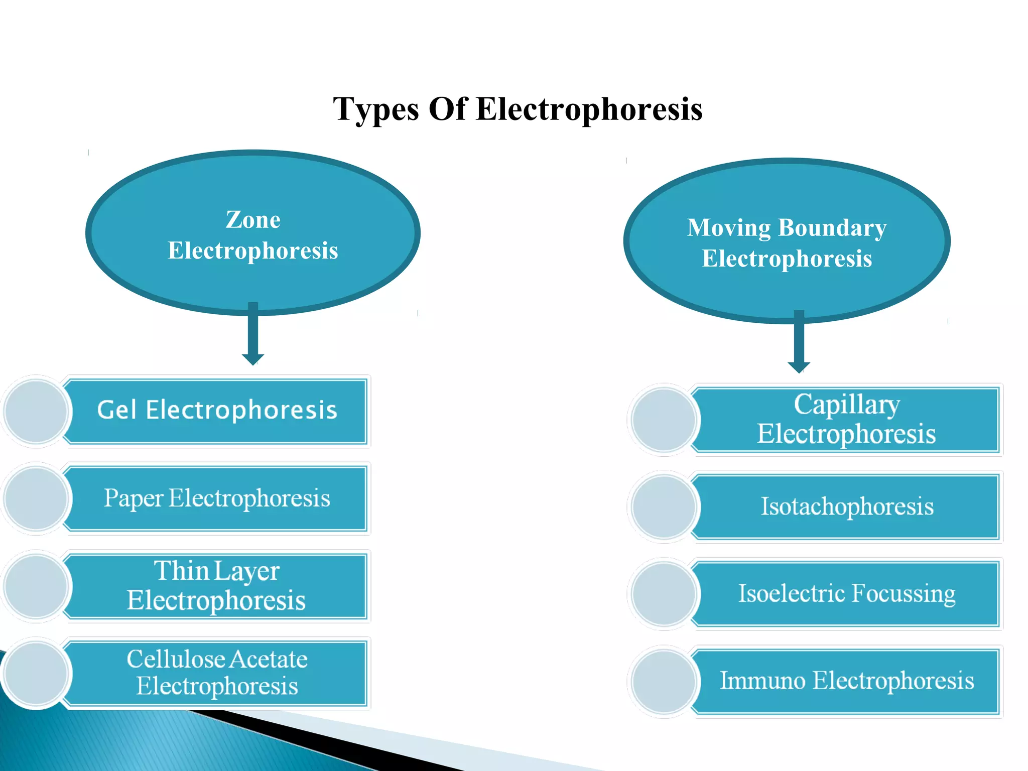 Capillary Electrophoresis | PPT