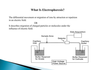 Capillary Electrophoresis | PPT
