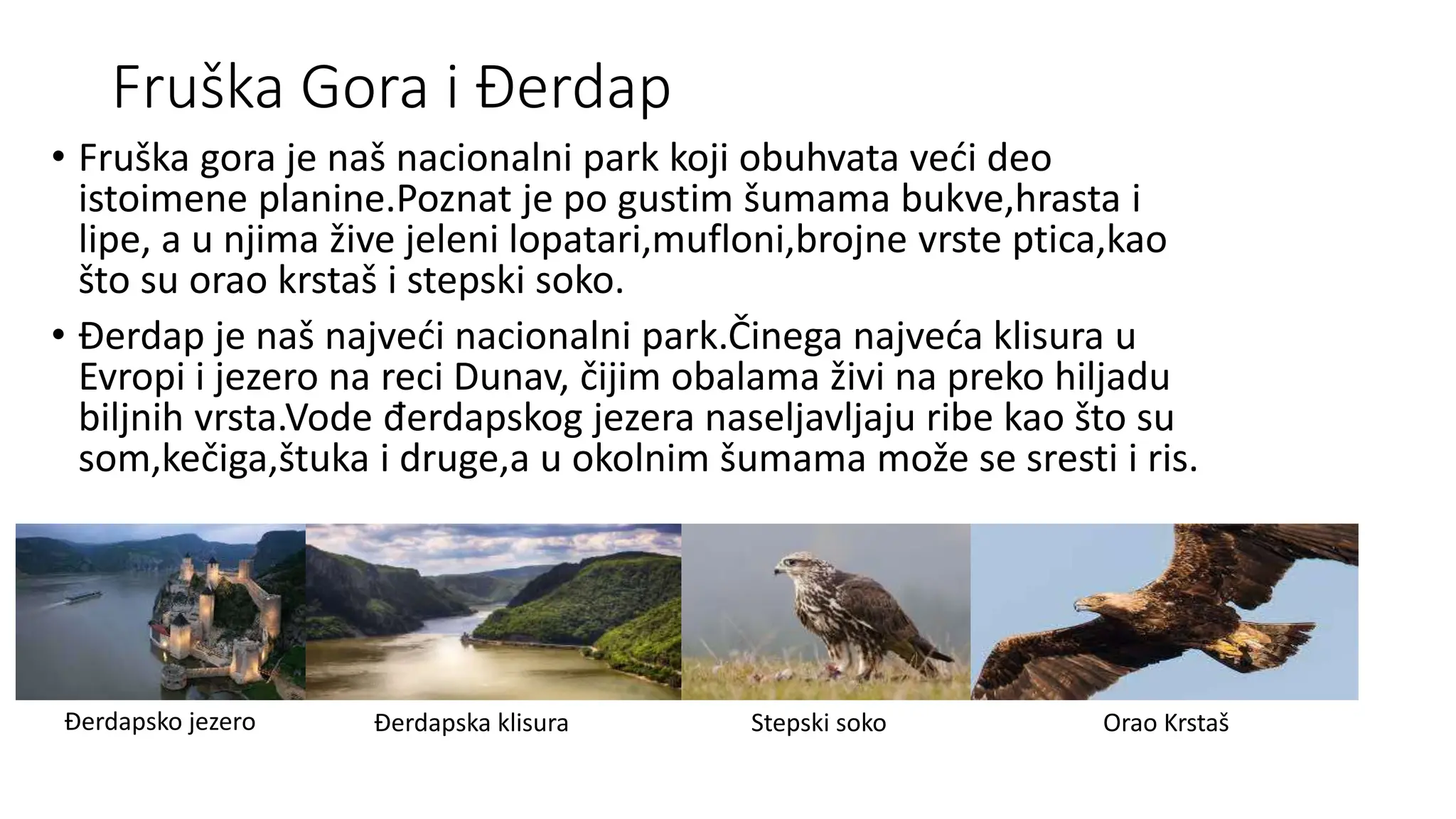 Srbija.pptx nacionalni parkovi rep.Srbije | PPTX