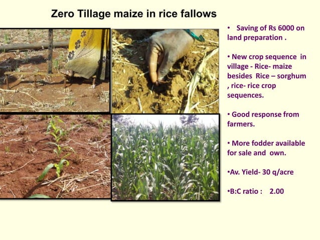 Good agricultural practices | PPTX