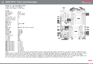 My First AMD EPYC 7251 memo | PPT
