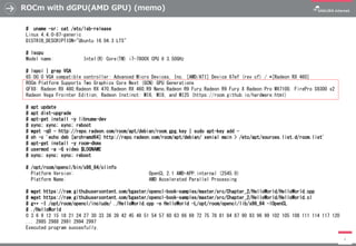 ROCm with dGPU(AMD GPU) (memo) | PPT