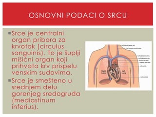 Srce (cor) | PPT