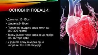 Срце - Драшковић А. | PPTX