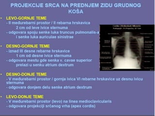 Anatomija srca | PPT