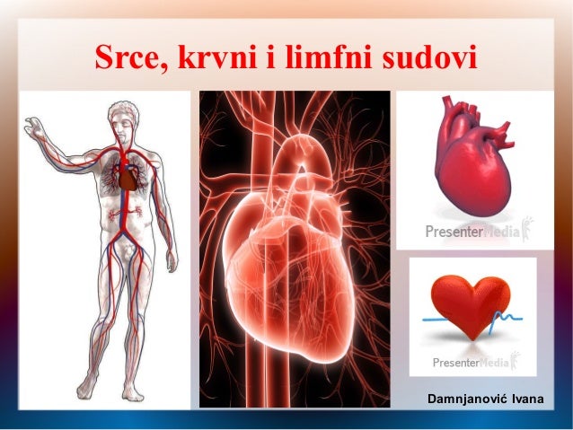 Srce, krvni i limfni sudovi