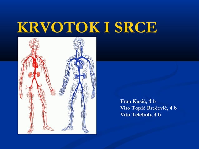 Srce i krvožilni sustav | PPT