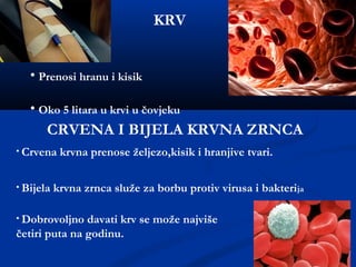 Srce i krvožilni sustav | PPT