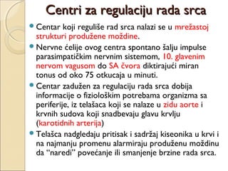 Srce kod sisara | PPT