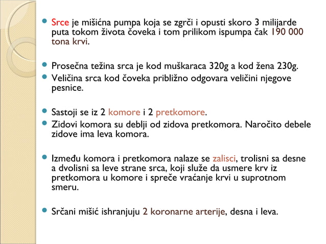 Srce kod sisara | PPT